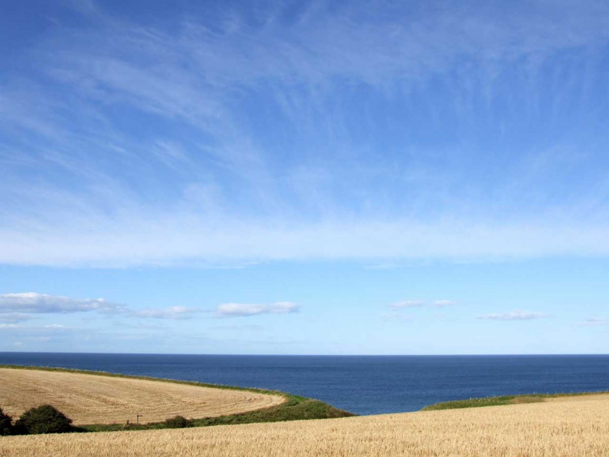 Things To Do in the Scottish Borders and North Northumberland